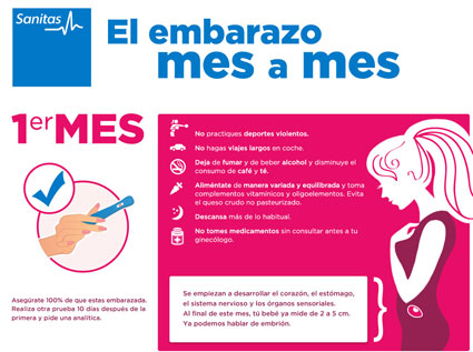 Las etapas del embarazo