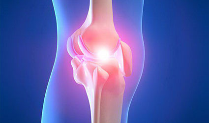 Dolor En La Parte Posterior Lateral De La Rodilla Tiene Dolor De