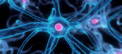 Enfermedades neurológicas en adultos mayores - Sanitas