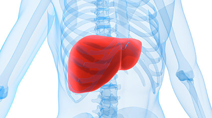 Perfil hepático y hepatograma: qué es y para qué sirve - Sanitas